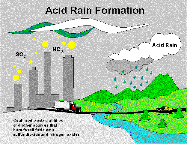 acid rain at emaze Presentation