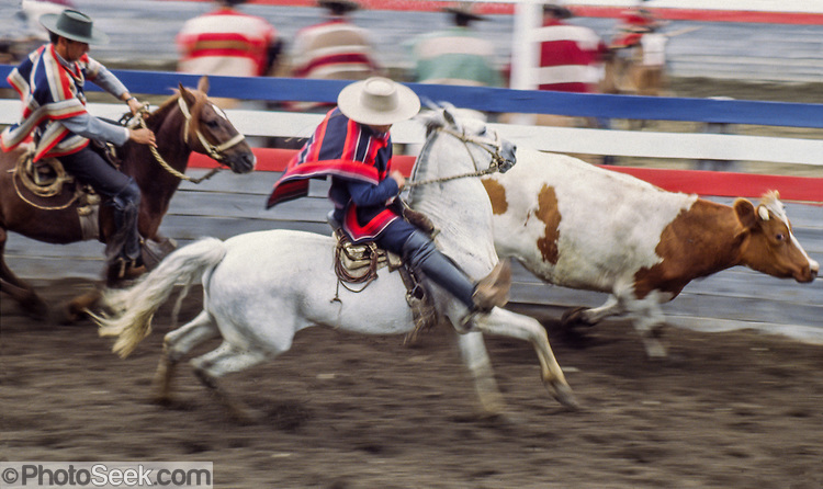 Chile at emaze Presentation