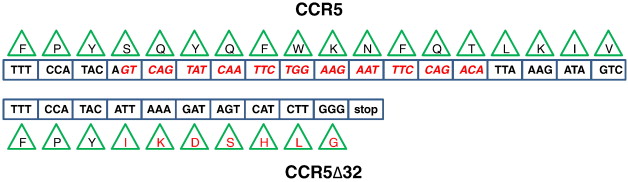 HIV and the CCR5 Mutation PPT.pptx at emaze Presentation