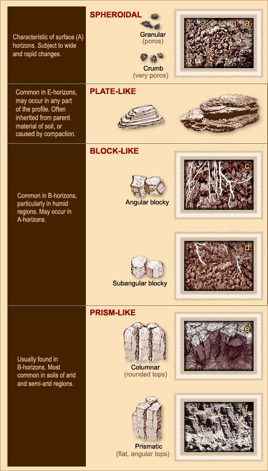 Presentation1.pptx on emaze