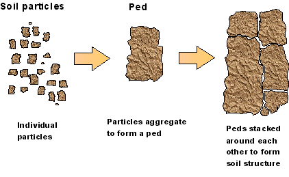 Presentation1.pptx on emaze