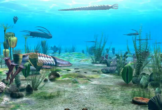 Cambrian: Scientist at emaze Presentation