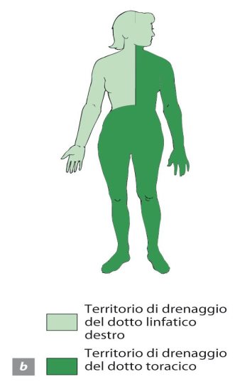 Presentation Name on emaze