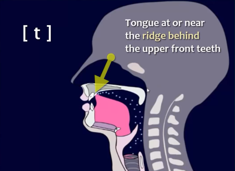 The Sounds of Language on emaze