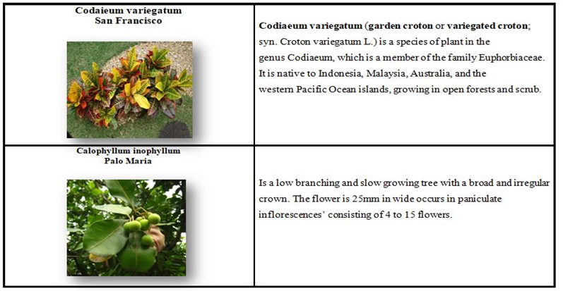 NAVOTAS FISH PORT COMPLEX at emaze Presentation