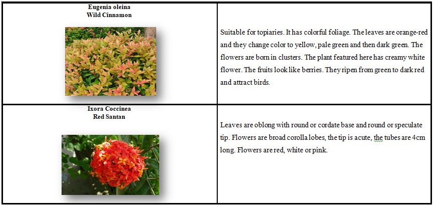 NAVOTAS FISH PORT COMPLEX at emaze Presentation
