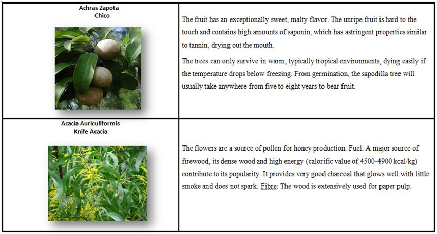NAVOTAS FISH PORT COMPLEX at emaze Presentation