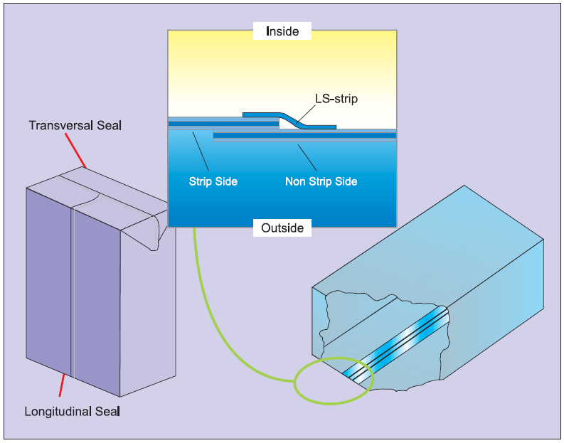 Aseptic Packaging- Cui Yu on emaze