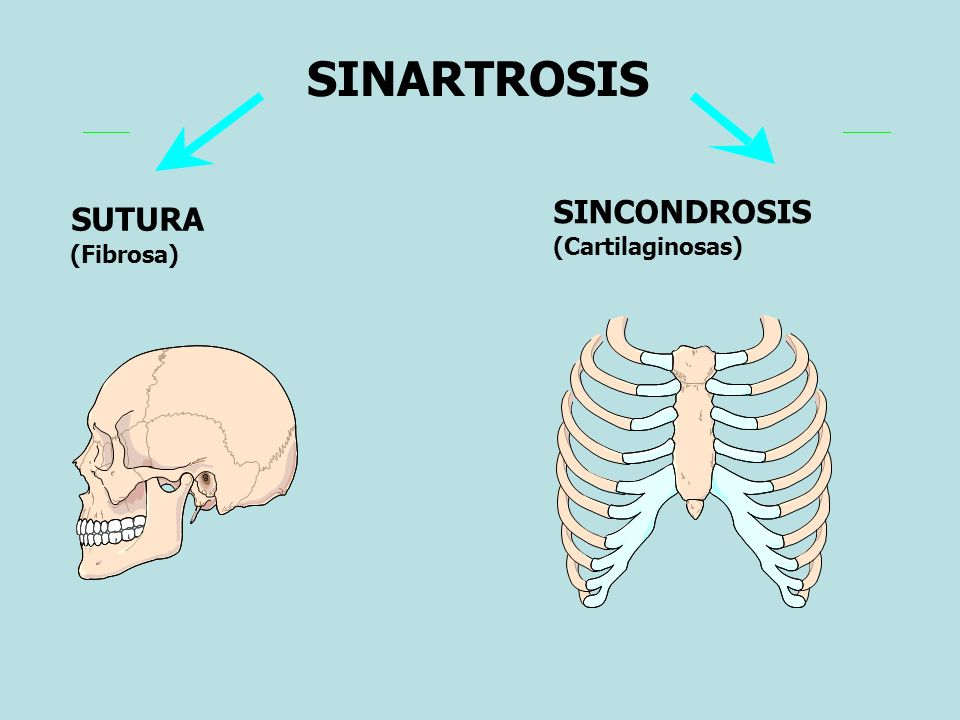 OSTEOGÉNESISY copy1 at emaze Presentation