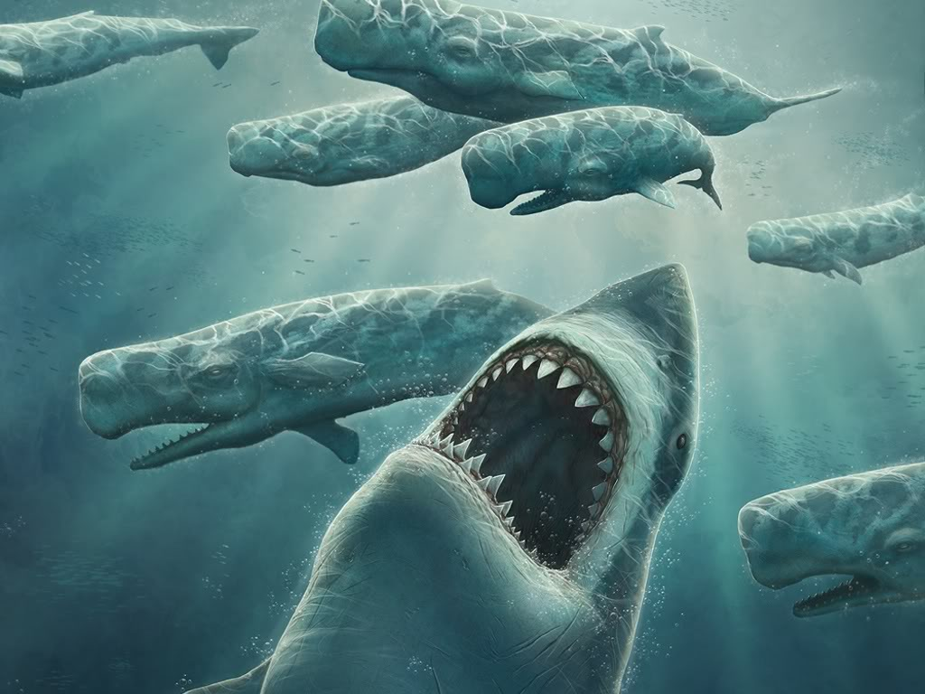 Megalodon Sharks on emaze