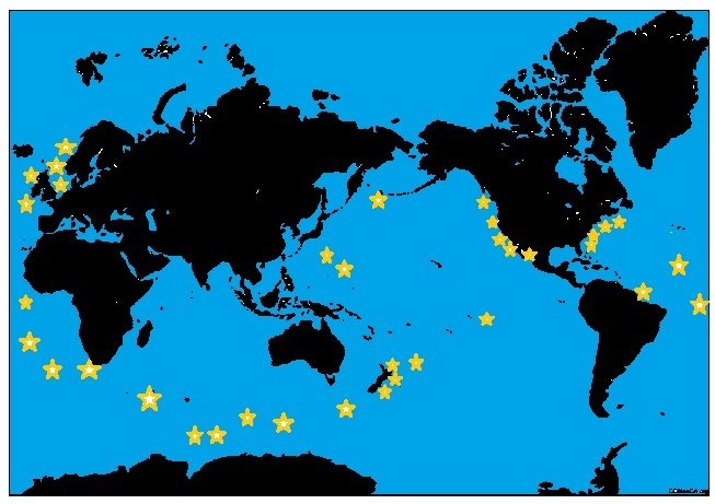 Megalodon Sharks on emaze