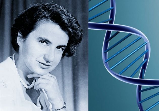 Rosalind Elsie Franklin at emaze Presentation