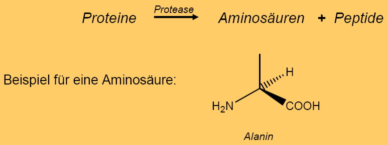 Presentation Name on emaze