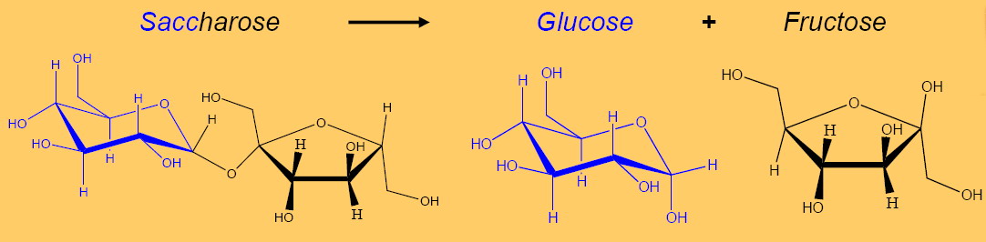 Presentation Name on emaze
