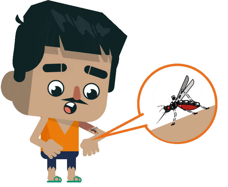 Los mosquitos on emaze