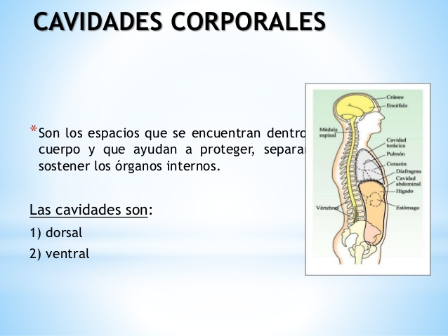 Presentation Name on emaze