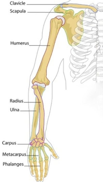 scienceBY MATT at emaze Presentation