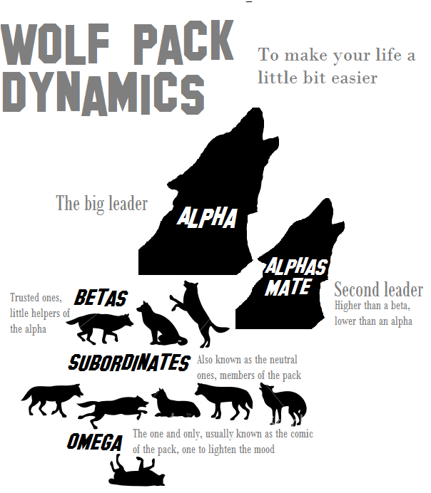 Wolf Pack And Behavior at emaze Presentation