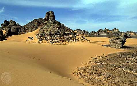 Wild World Australia on emaze