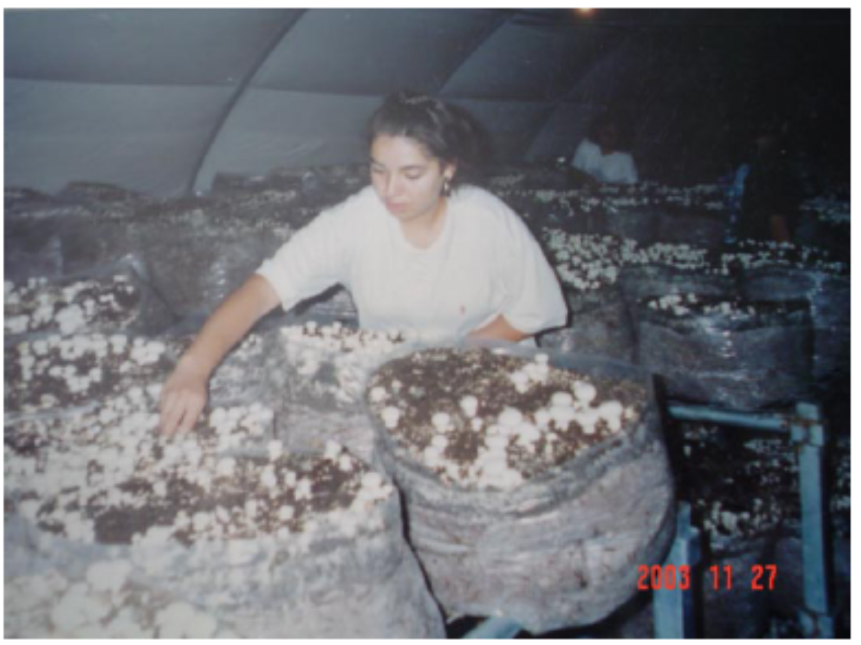 Untitled at emaze Presentation