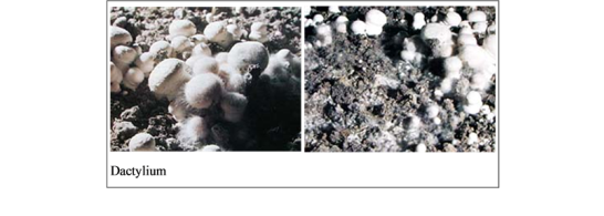 Untitled at emaze Presentation