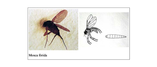 Untitled at emaze Presentation