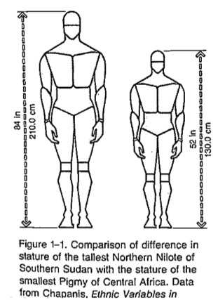 Anthropometrics on emaze