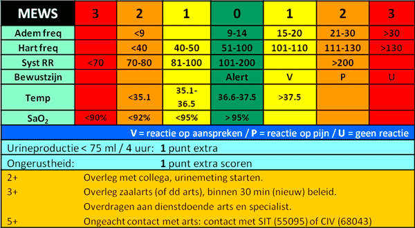 Branch Out at emaze Presentation