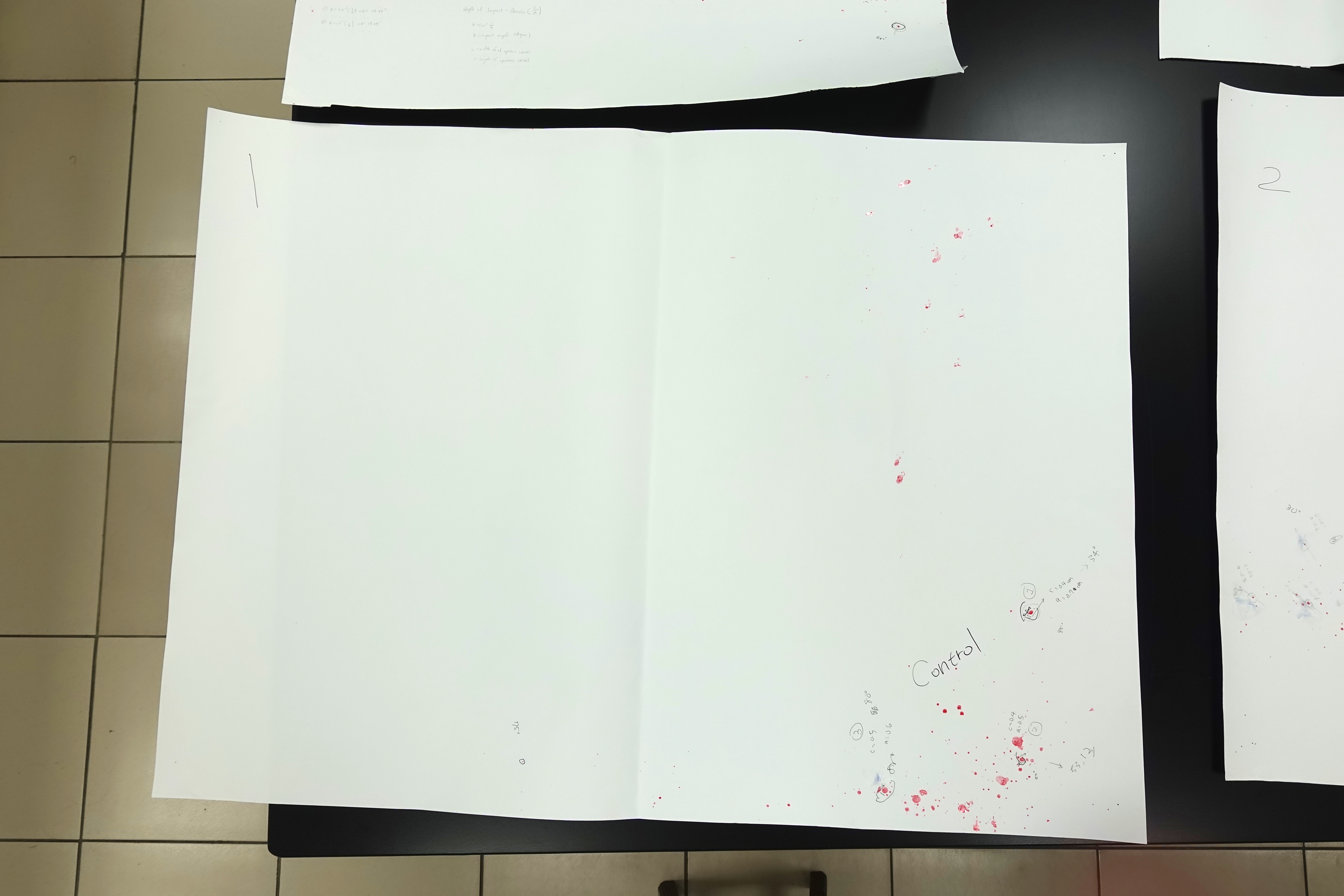 Blood Spatter--It All Matters! on emaze