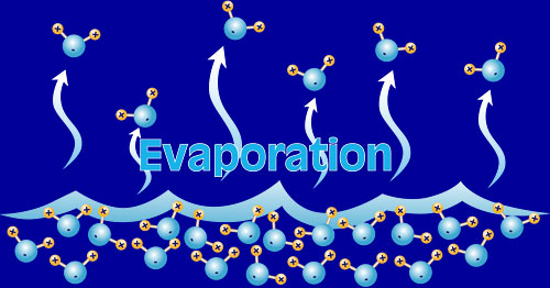 Water Cycle at emaze Presentation