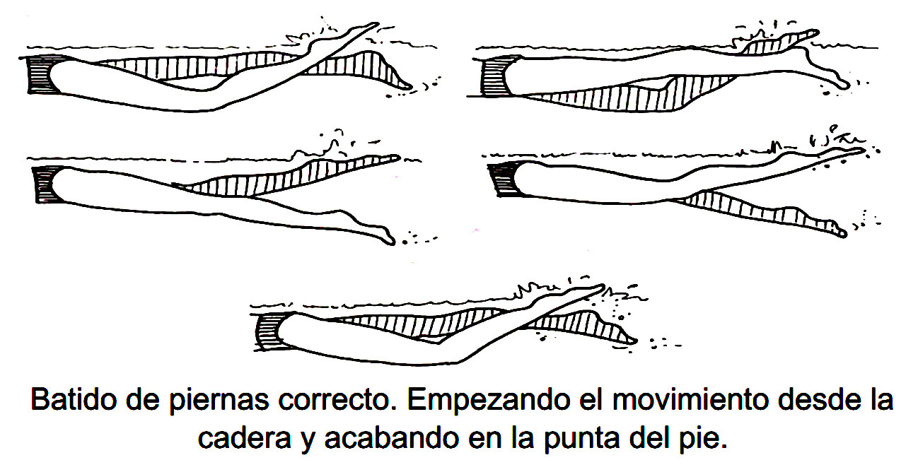 Natación-Estilo Libre at emaze Presentation