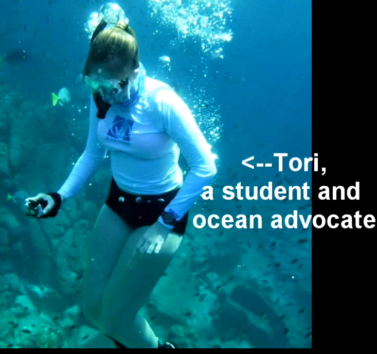 FSW orientation at emaze Presentation