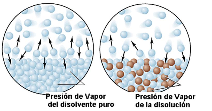 Presión De Vapor On Emaze