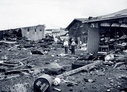 Hilo Tsunami at emaze Presentation