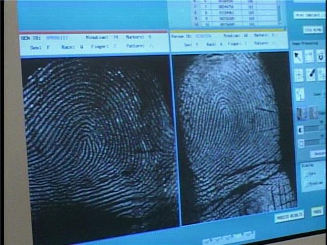 Lab Project forensic science at emaze Presentation