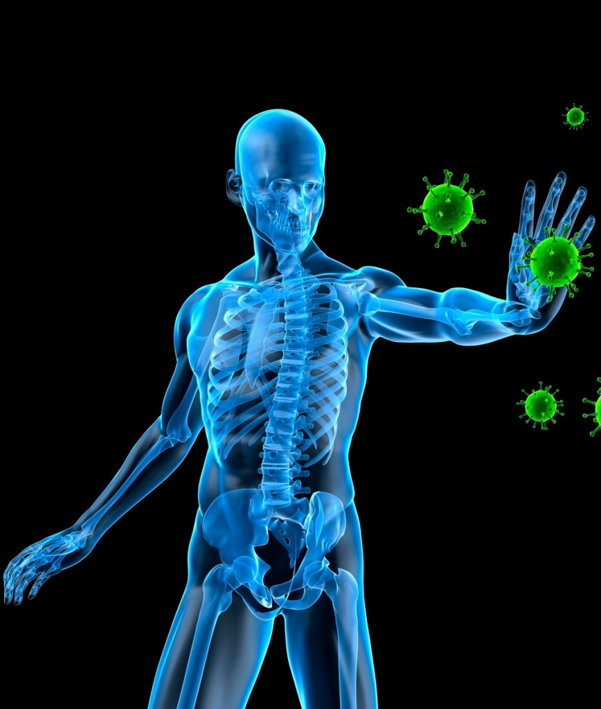 The Immune System on emaze