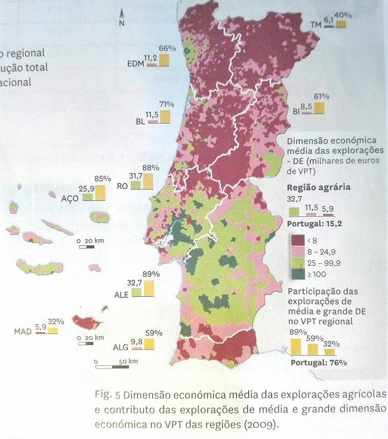 RIBATEJO E OESTE on emaze