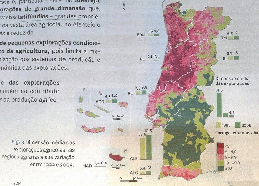 RIBATEJO E OESTE on emaze