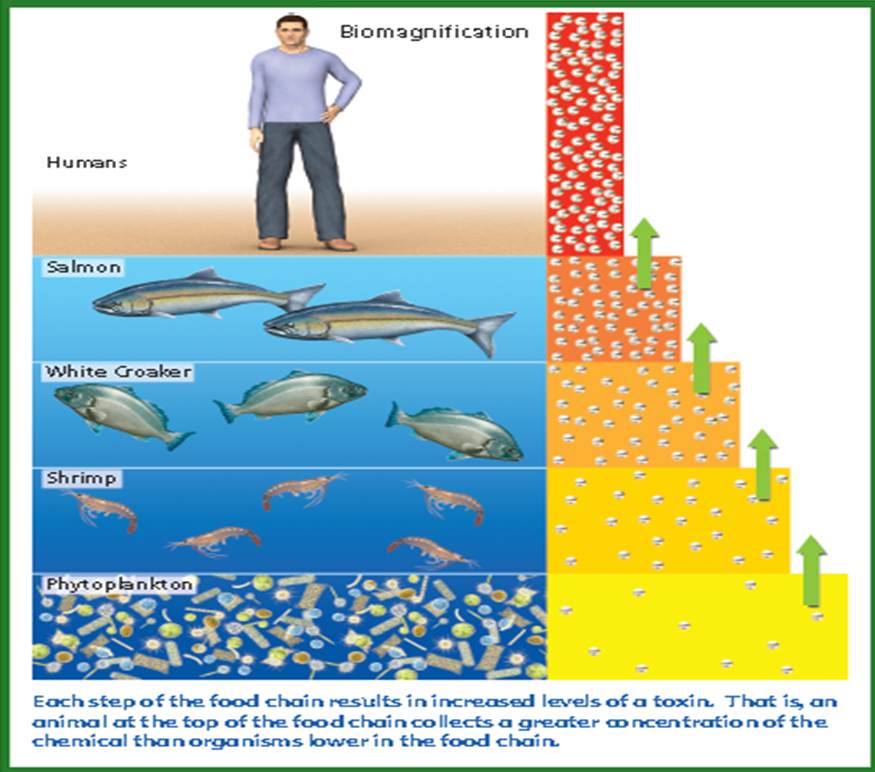 Untitled at emaze Presentation