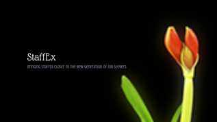 StaffEx presentation.pptx at emaze Presentation