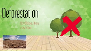 Deforestation at emaze Presentation