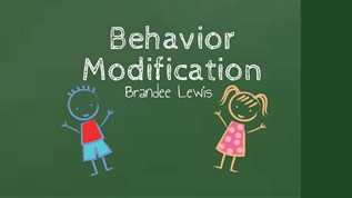 Behavior at emaze Presentation