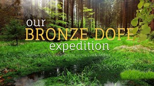 Bronze DofE at emaze Presentation