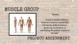 Muscle Group Project at emaze Presentation