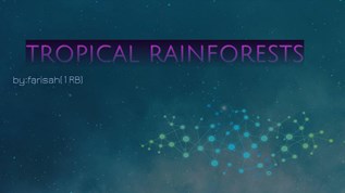 tropical rainforests at emaze Presentation
