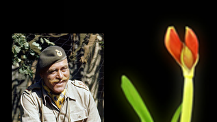 Major-General Christopher Vokes at emaze Presentation