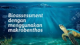 Under the Sea at emaze Presentation