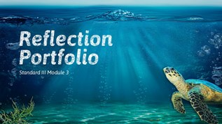 Reflection Portfolio at emaze Presentation