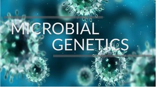 Intro of Microbial Genetics at emaze Presentation