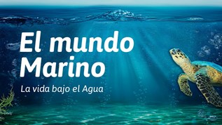 El mundo marino at emaze Presentation